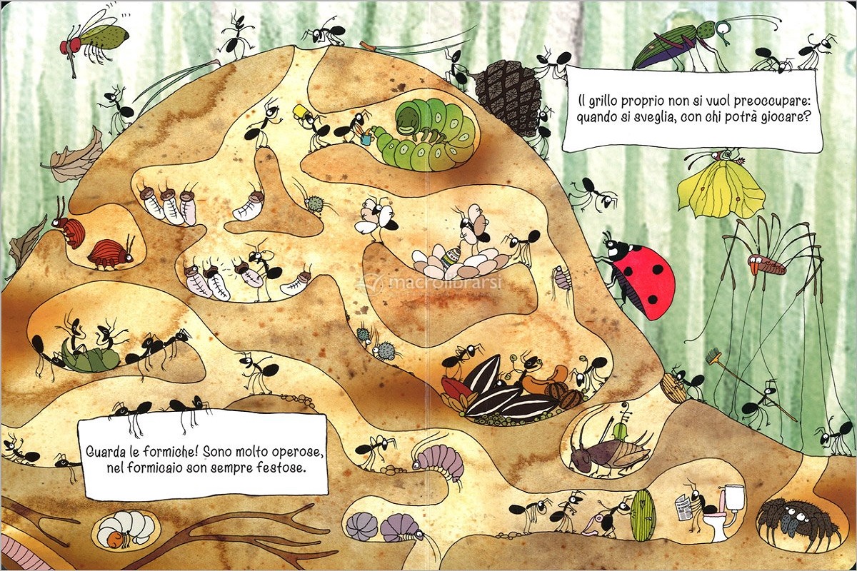 IL FORMICAIO | Il Mondo degli Animali